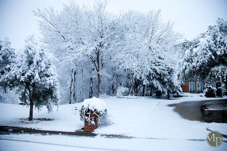 Matthew Peacock Photography
